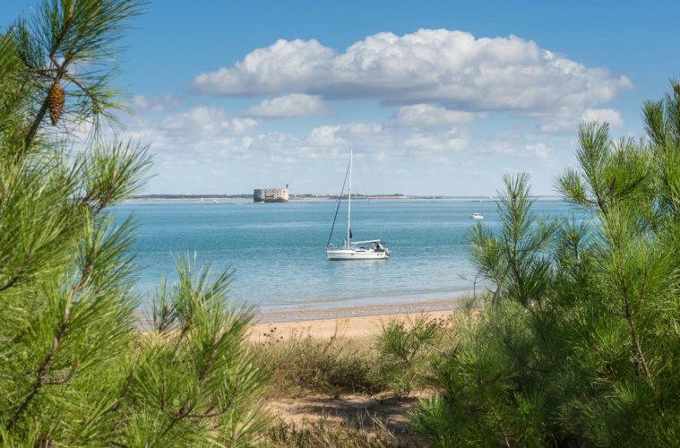 The Glorious Islands of France - Mary Anne's France
